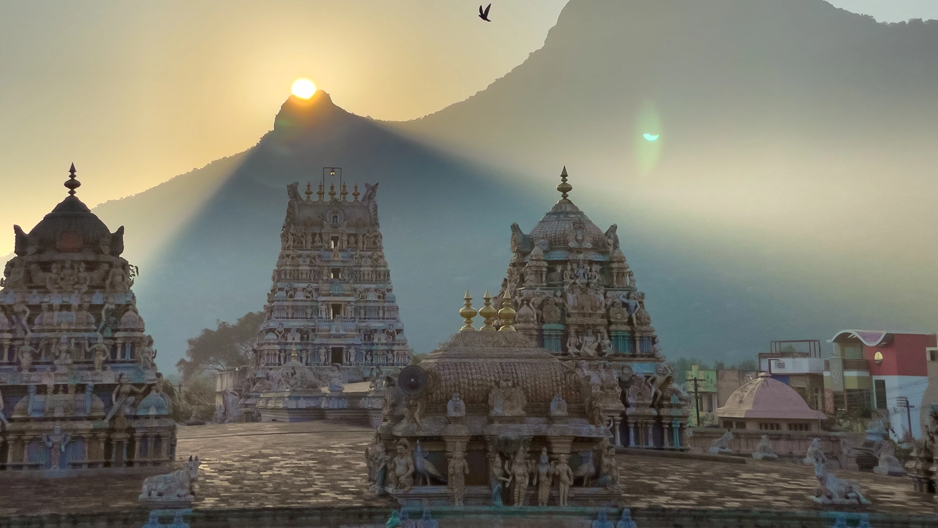Tiruvannamalai Temple (Tamil Nadu) – Think Together for Better Tomorrow